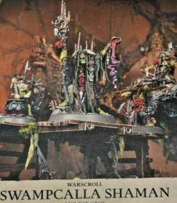 Warhammer Age of Sigmar Kruleboyz Swampcalla Shaman and Pot-Grot **NoS ...