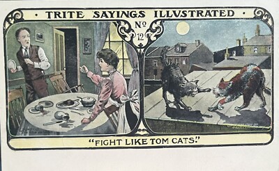 Fight Like Tom Cats Antique Postcard Trite Sayings Illustrated Embossed ...
