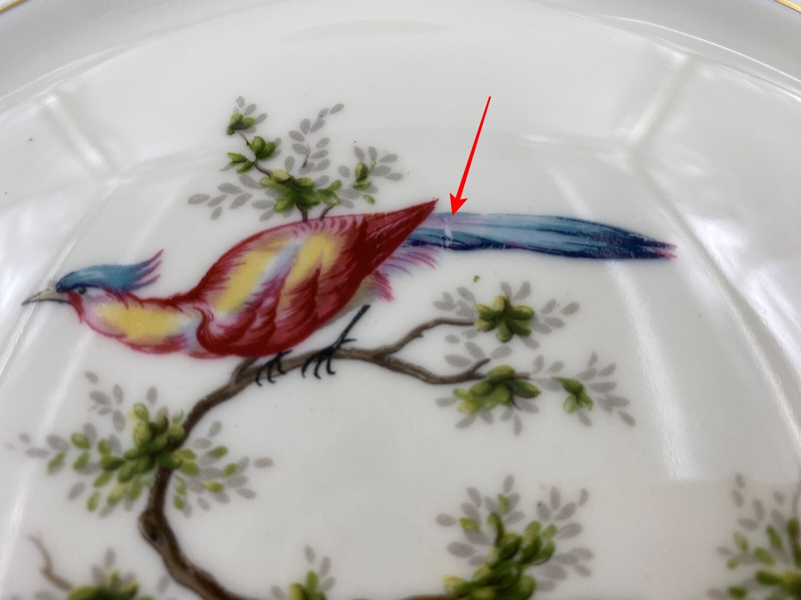 Raynaud & Co Limoges Luncheon Plates Birds of Paradise Argent Gorgeous ...