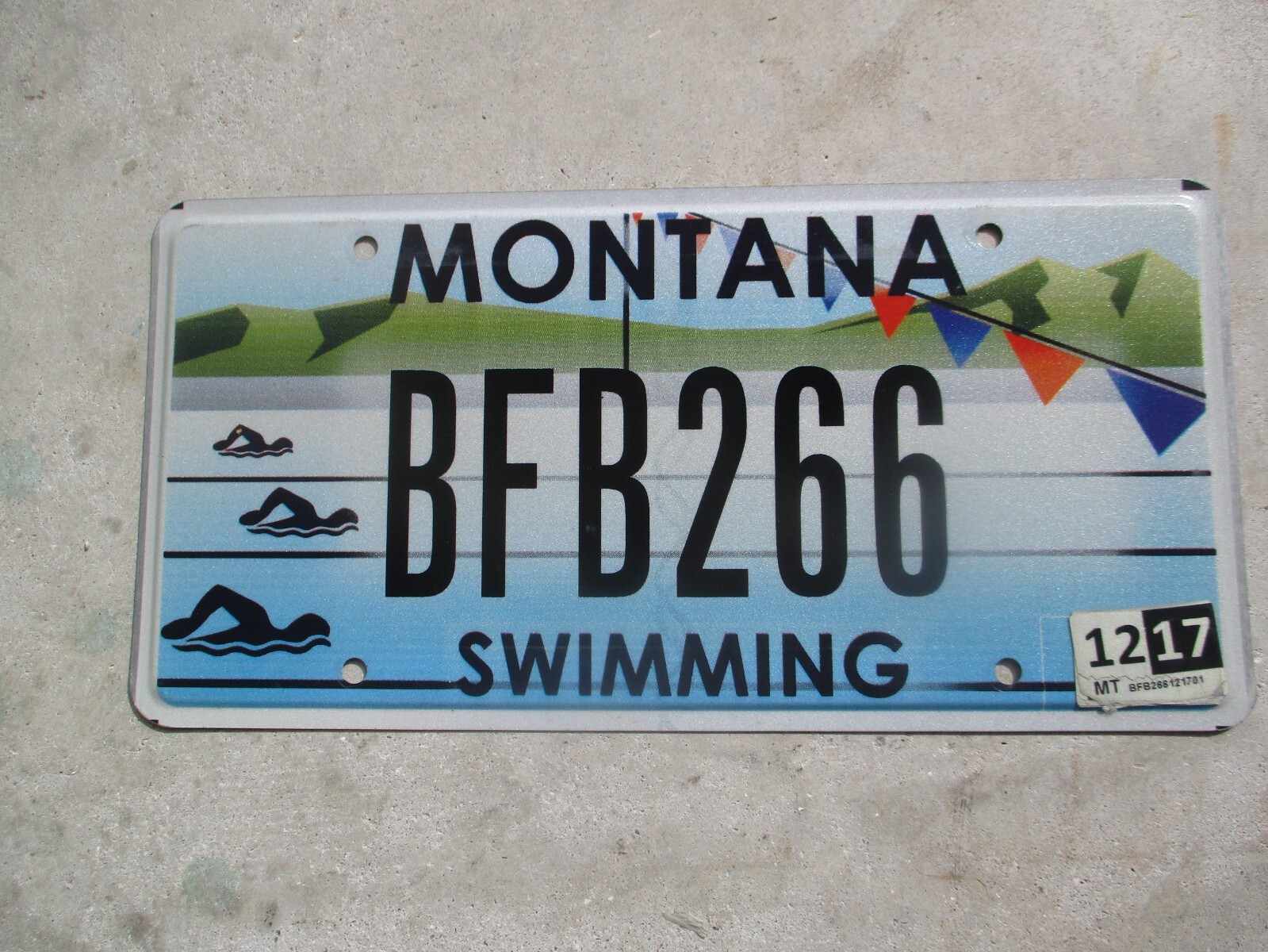Montana Swimming license plate # BFB 266 | eBay