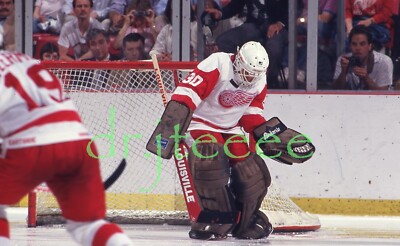 1987 Greg Stefan DETROIT RED WINGS - 35mm Hockey Slide | eBay