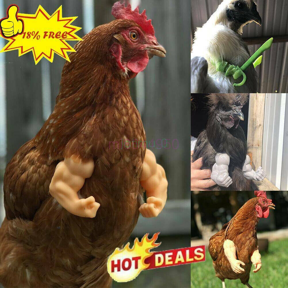 Arms For Chicken 3D Printed, Fist Arms Meme, Thumbs-Up Chicken ...