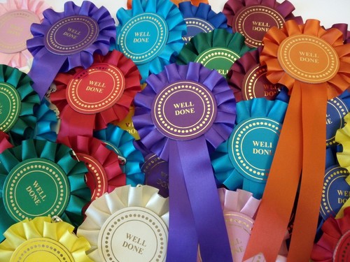 Well Done Rosettes For Awards Dog/Horses/parties/Any Event Pick Pack ...
