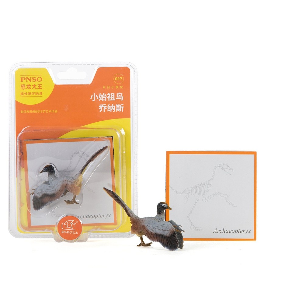 PNSO rare Archaeopteryx kinder Dinosaur Figure kids education museum ...