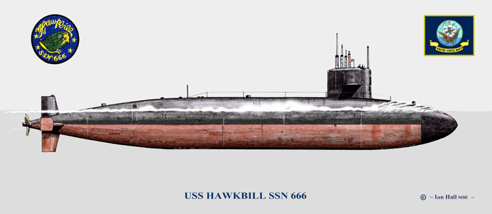 USS Hawkbill SSN-666 Ship Print US Navy | eBay