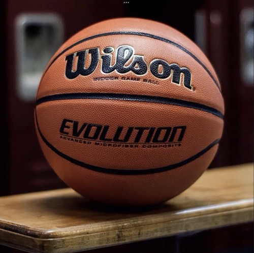 Wilson Evolution 29.5" Official Game Basketball | eBay