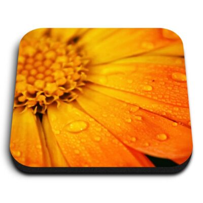 1x Square Fridge MDF Magnet Orange Marigold Flower #51614 | eBay UK