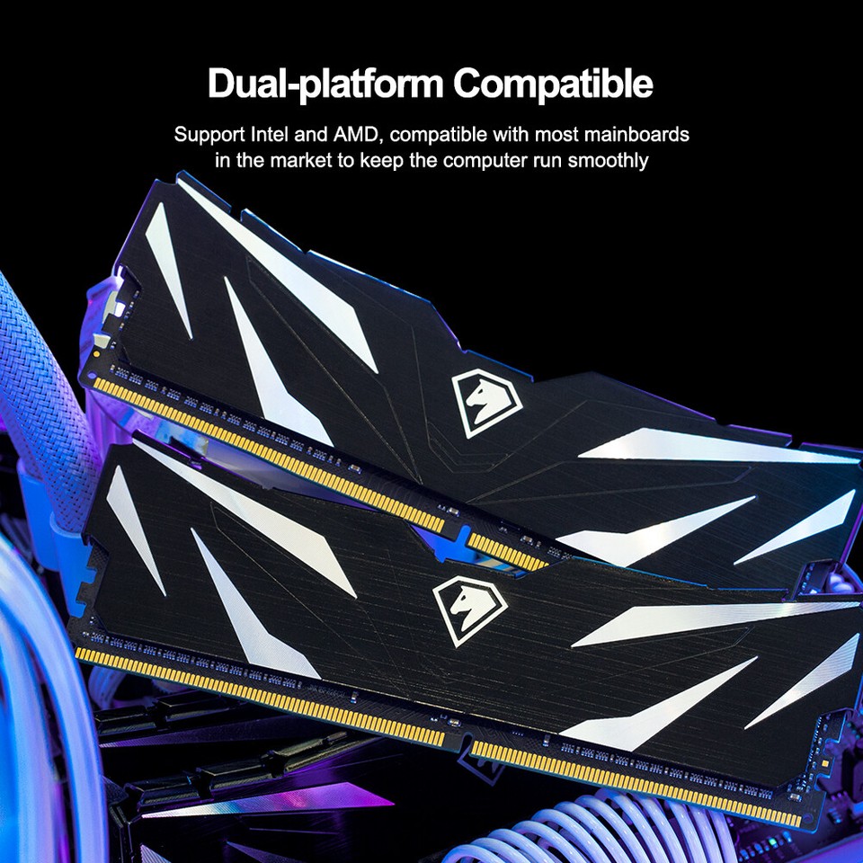 Netac DDR4 16GB(2x8GB) DDR4 DRAM 3200MHz UDIMM Desktop Internal Memory ...