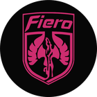 Fiero Wheel Center Cap Overlay Decals Choose your Colors 5 in a SET | eBay