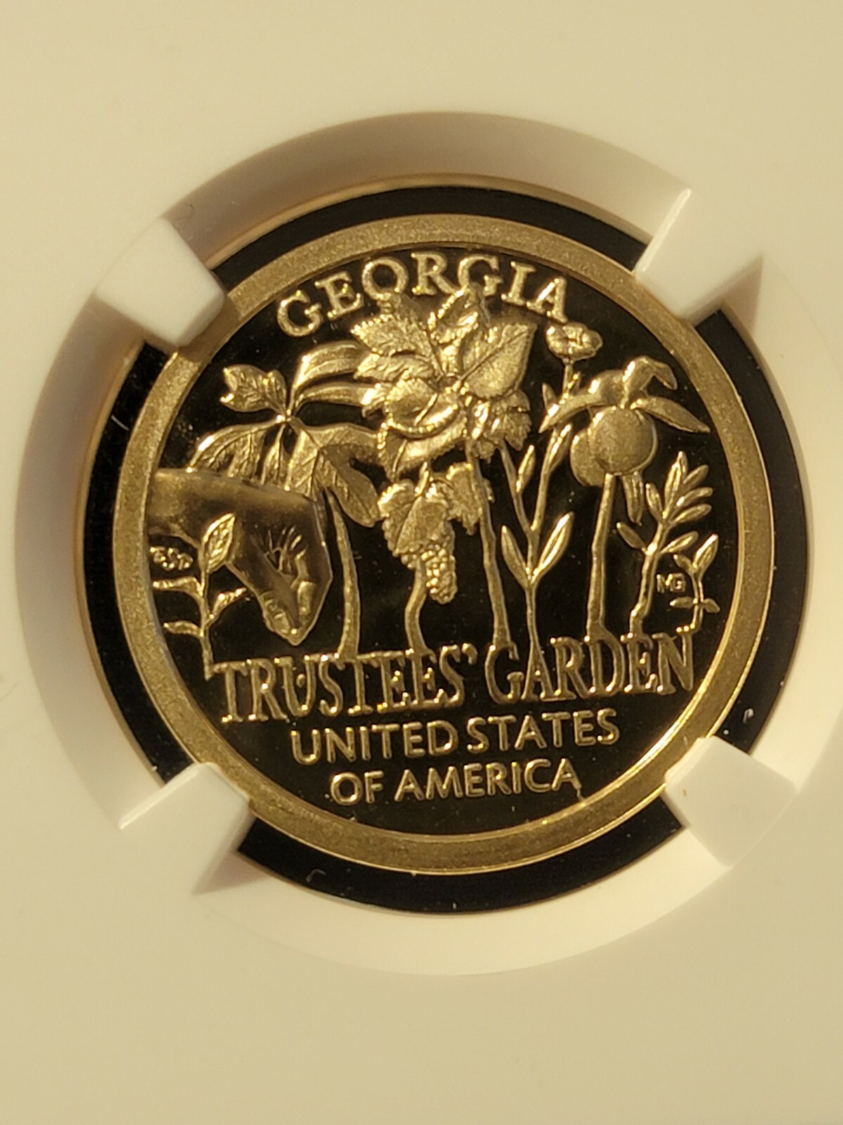 2019-S American Innovation Dollar GA Trustees' Garden NGC PR-70 UCAM | eBay