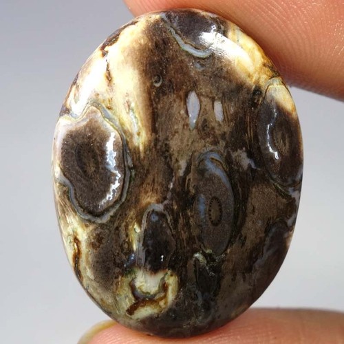 100% Natural Palm Root Agate Oval Cabochon Gemstones 32.40Cts. 24x 32x ...