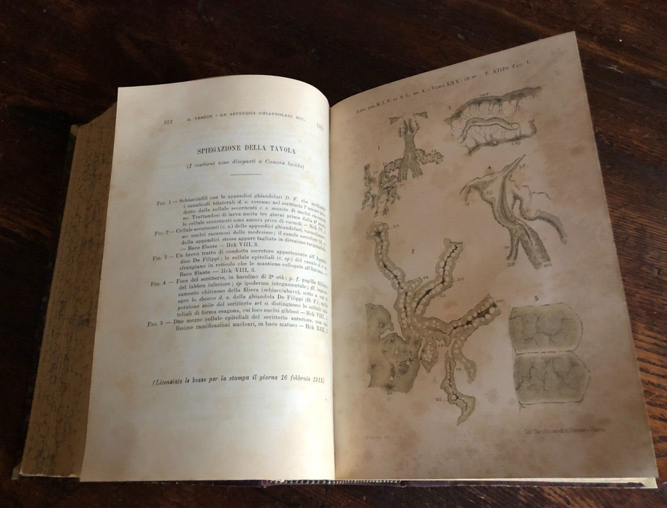 Acts Of Royal Institute Venetian of Sciences, Lettere And Arti. Year ...