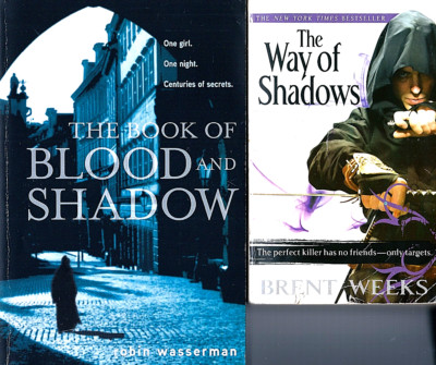 Lot of 2 Novels of Magic & Secrets: The Way of Shadows & Book of Blood ...