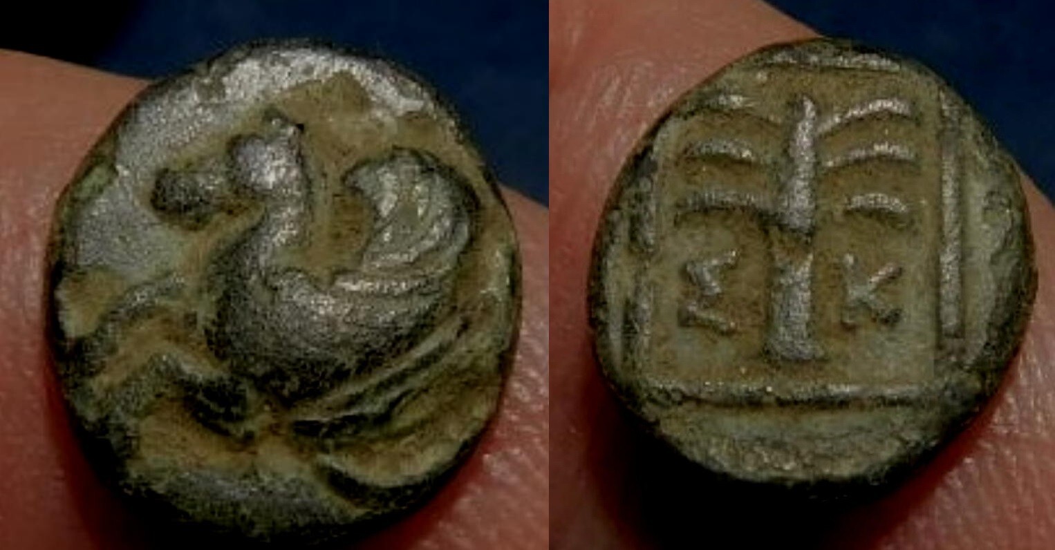 MORTOWN Skepsis Troas 350BC AE11 Skepsis Forepart of Pegasos + Fir Tree ...