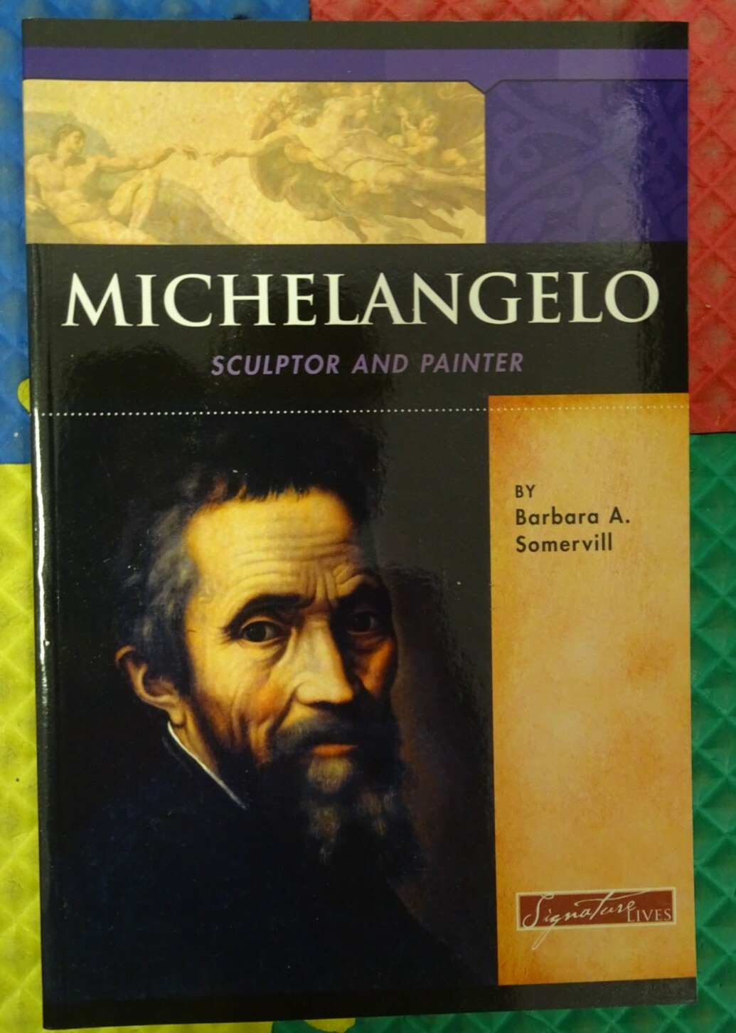 Michelangelo : Sculptor and Painter by Barbara A. Somervill (2005 ...