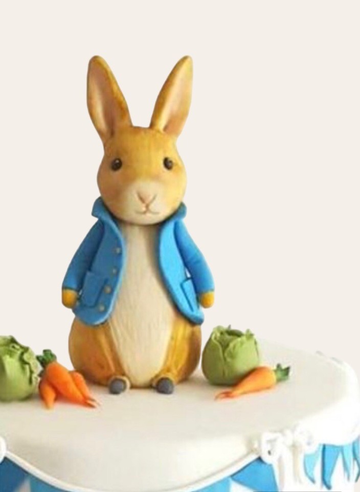 EDIBLE PETER RABBIT THEMED CAKE TOPPER DECORATION Birthday christening ...