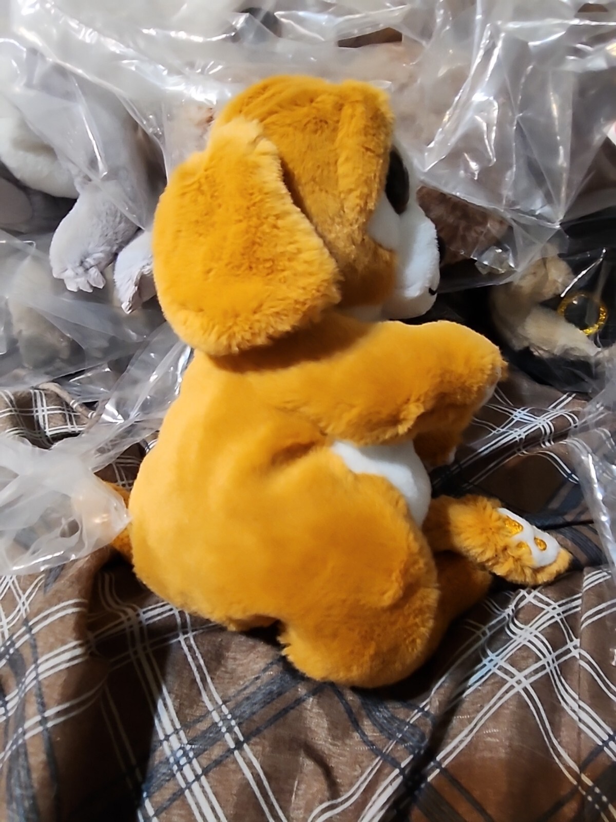 Ty Beanie Baby Boos Bellies - RUGGLES the Dog (6 Inch) NEW - MINT with ...