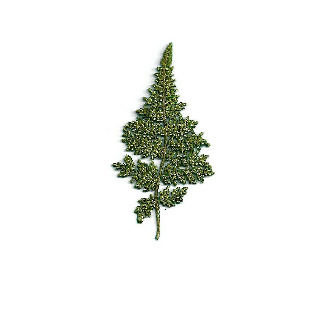 Green Fern - Leaf - Nature - Earth - Embroidered Iron On Applique Patch ...