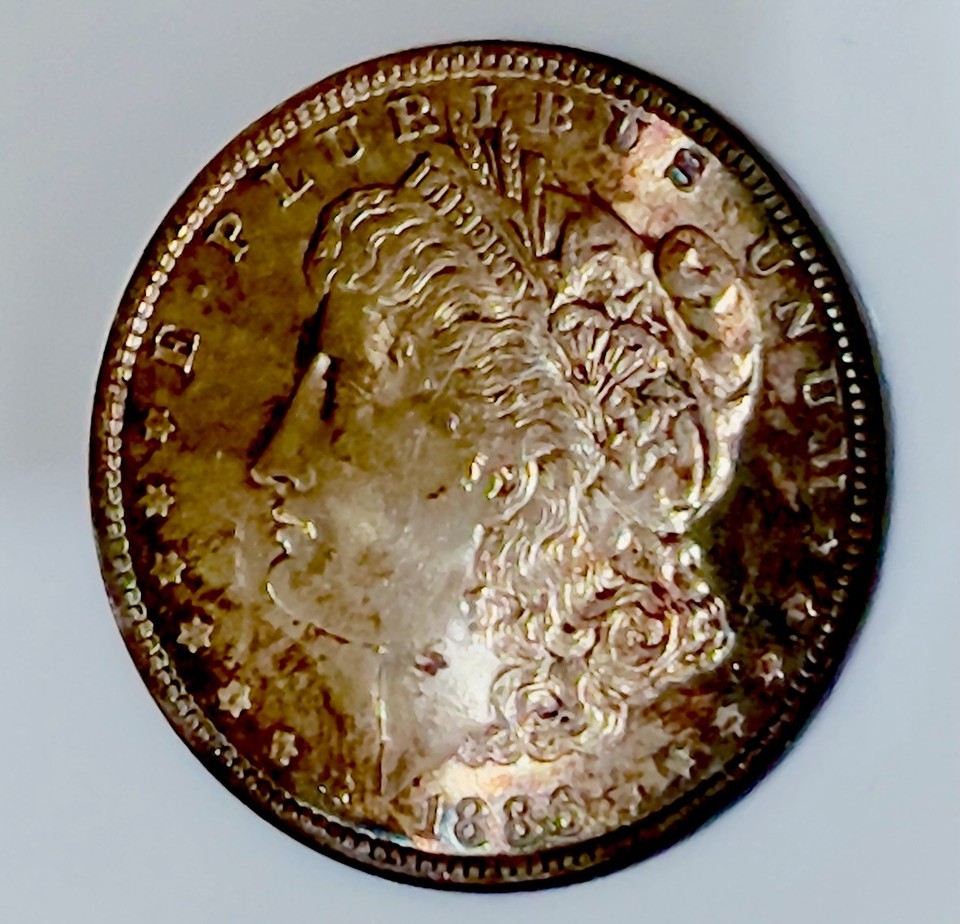 1886 MORGAN DOLLAR MONSTER RARE REVERSE- OBV TONER! Mint State 65 PCI ...