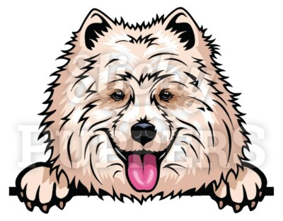Samoyed Colour Vinyl Sticker for Car Laptop Bike High Quality Samoyed ...