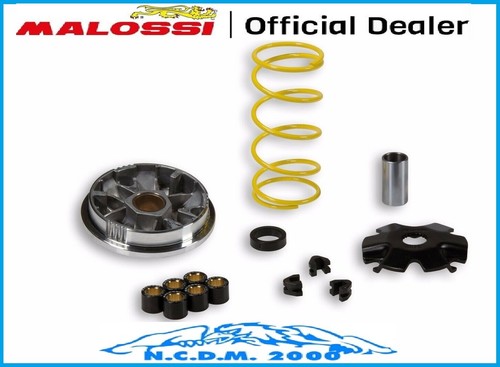 Variator Malossi Multivar Italjet Formula 50 2T LC (F.Morini) | eBay
