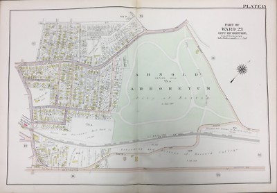 1905 ROSLINDALE BOSTON MA ARNOLD ARBORETUM PETERS HILL ROSLINDALE STA ...