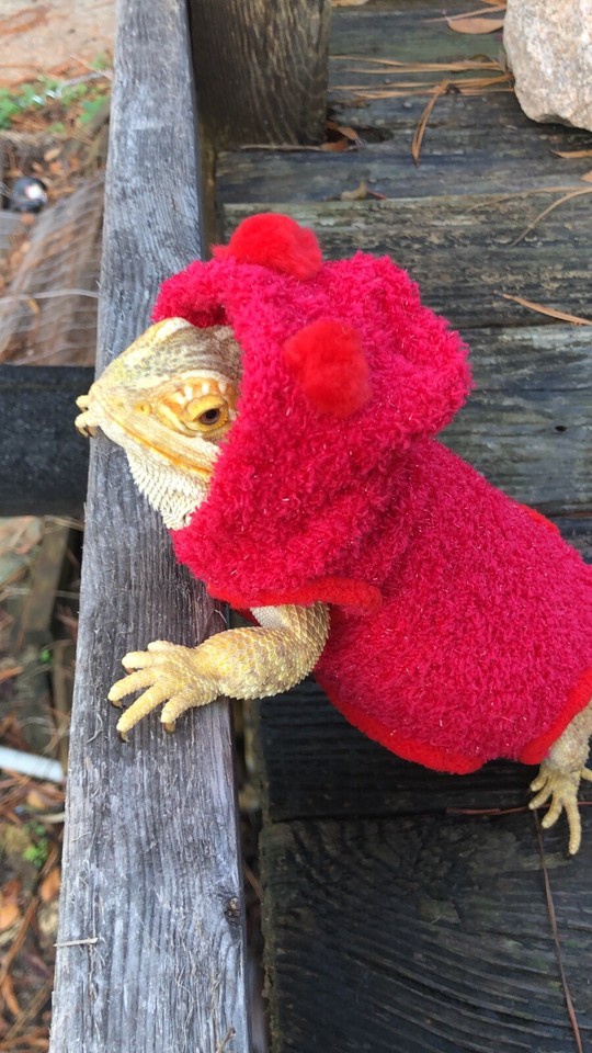 RED SOFT FUR SNUGGY #6 XLRG SLEEVELESS BODY SHIRT HOODY 4 UNISEX ...