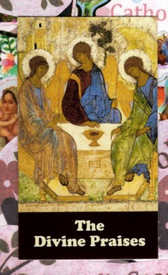 The Divine Praises - (2" x 3 1/2") Heavy Paperstock Holy Card | eBay