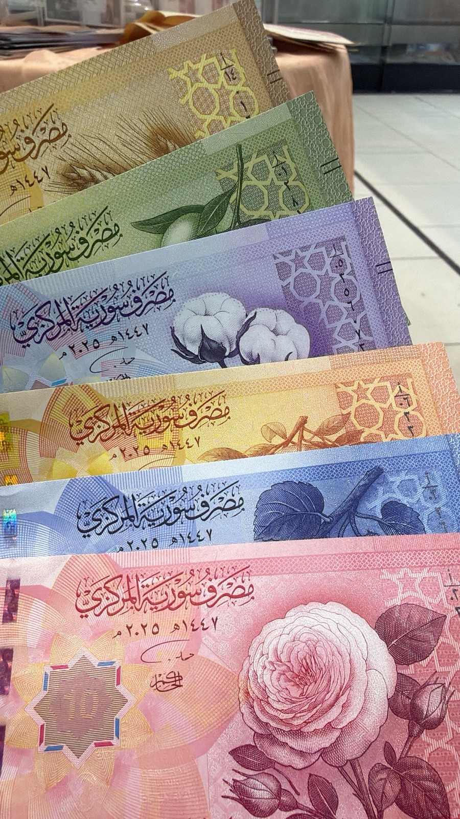 New Syria Set 2025 – Antique Coins World