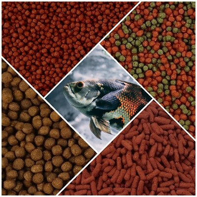 Oscar Cichlid Fish Food - Floating Pellets Sticks South American Tiger ...