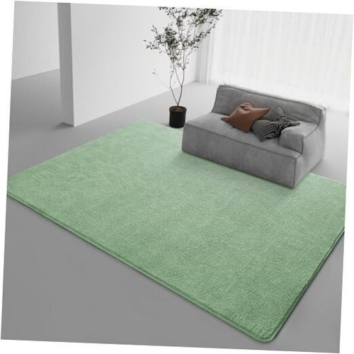 Super Soft Area Rugs for Bedroom Living Room, 5x7 ft Sage 5 ft x 7 ft ...