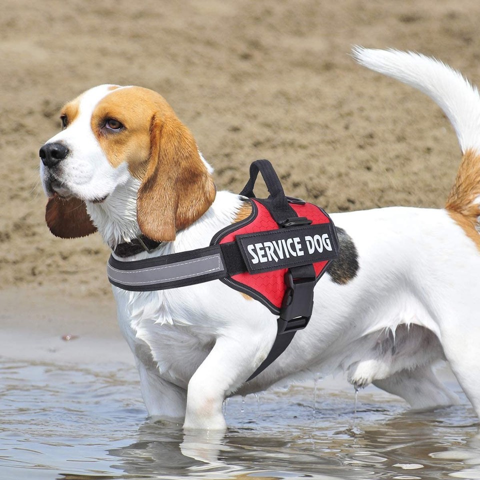 Service Dog Harness with 3M Reflective Safety, Easy Adjust & No-Pull ...