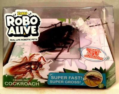 CRAWLING COCKROACH ZURU ROBO ALIVE SUPER FAST SUPER GROSS NEW IN BOX | eBay