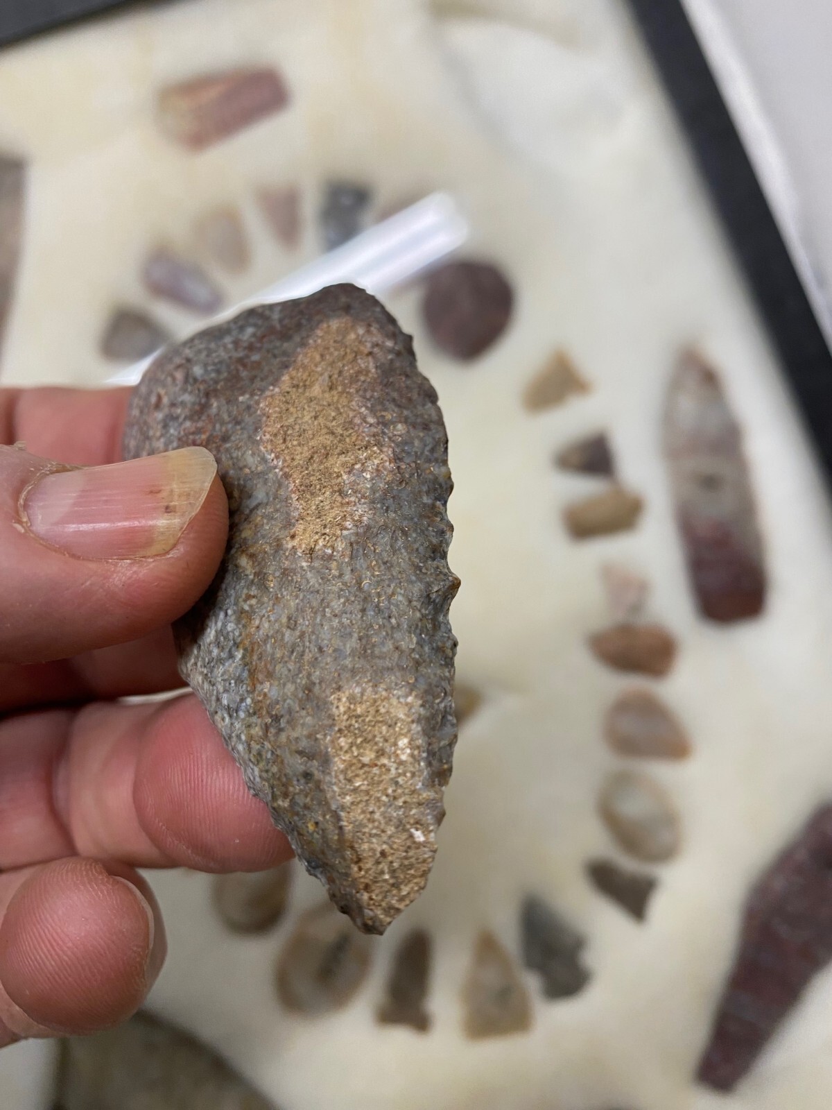 Arrowhead Case Frame of early man stone artifacts - Texas - with ...