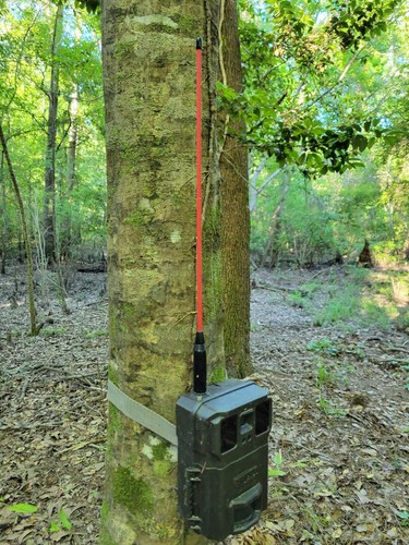 Covert FLEXIBLE Trail Camera Antenna LTE HD AT&T Verison Long Range ...
