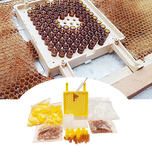 Bee Queen Rearing Breeding Kits Cell Cup Plastic Reusable Beekeeping ...