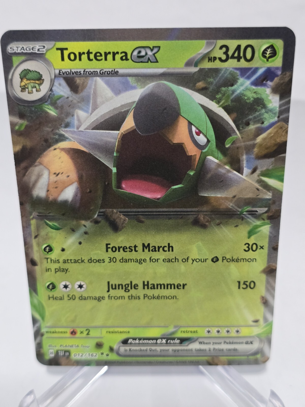 TORTERRA EX 012/162 - HOLO POKEMON - TEMPORAL FORCES | eBay
