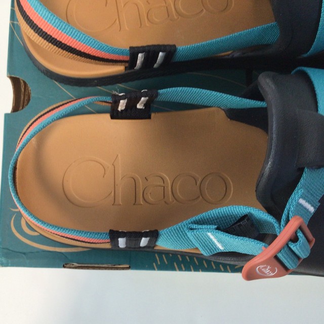 Chaco Chillos Clog Sandals with Box Men’s Size 12 JCH108539 for sale ...