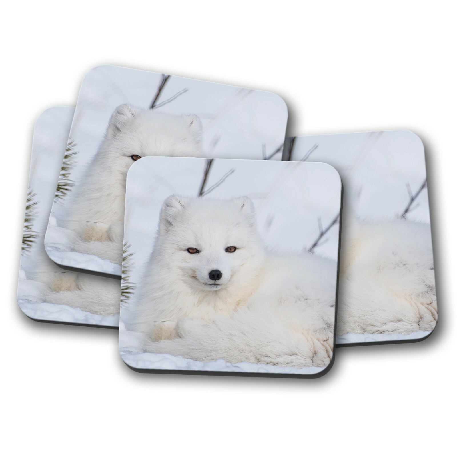 4 Set - Arctic Fox Coaster - White Snow Winter Cute Husky Wild Cold Gift #15351 | eBay