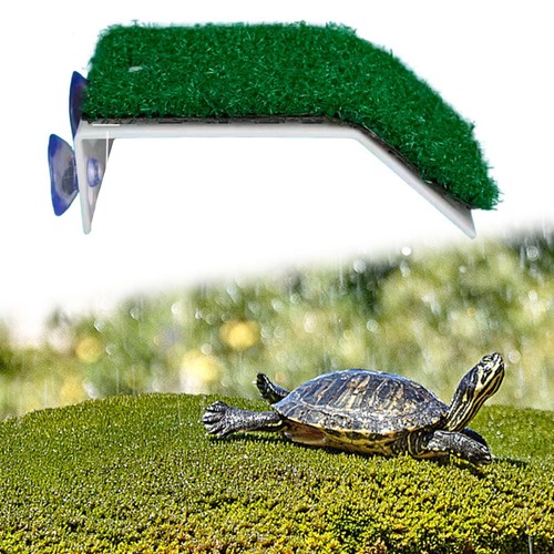 Turtle Basking Platform Tortoise Climbing Ladder for Small Reptiles ...