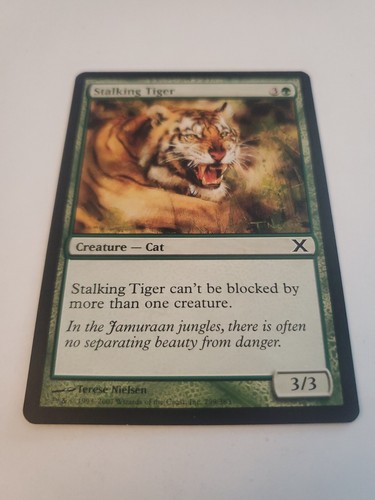 MTG Stalking Tiger Tenth Edition 299/383 Regular Common | eBay