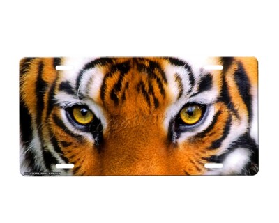 Tiger Eyes Front License Plate | TIGEREYES1 | Aluminum | Gloss | 12 in ...