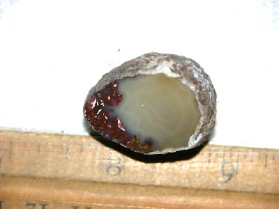 Laguna agate geode cut and polished Mexico 1 x 1 inch G110 | eBay