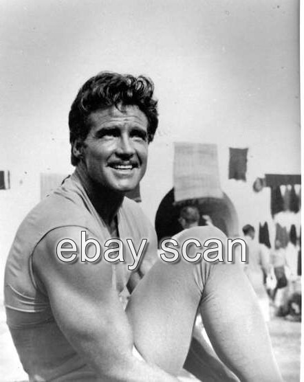 STEVE REEVES MR AMERICA HERCULES ON SET 8X10 PHOTO 36 | eBay