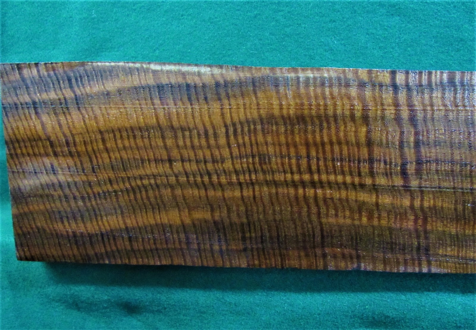Exhibition grade Claro Fiddleback gorgeous walnut blank ! Extra THICK ...
