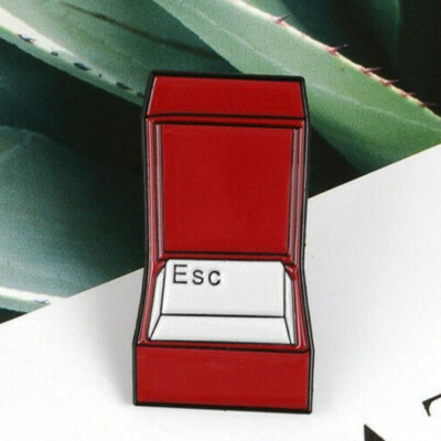 COMPUTER KEYBOARD ESC Enamel Pin Badge ESCAPE KEY Brooch Lapel Gift ...