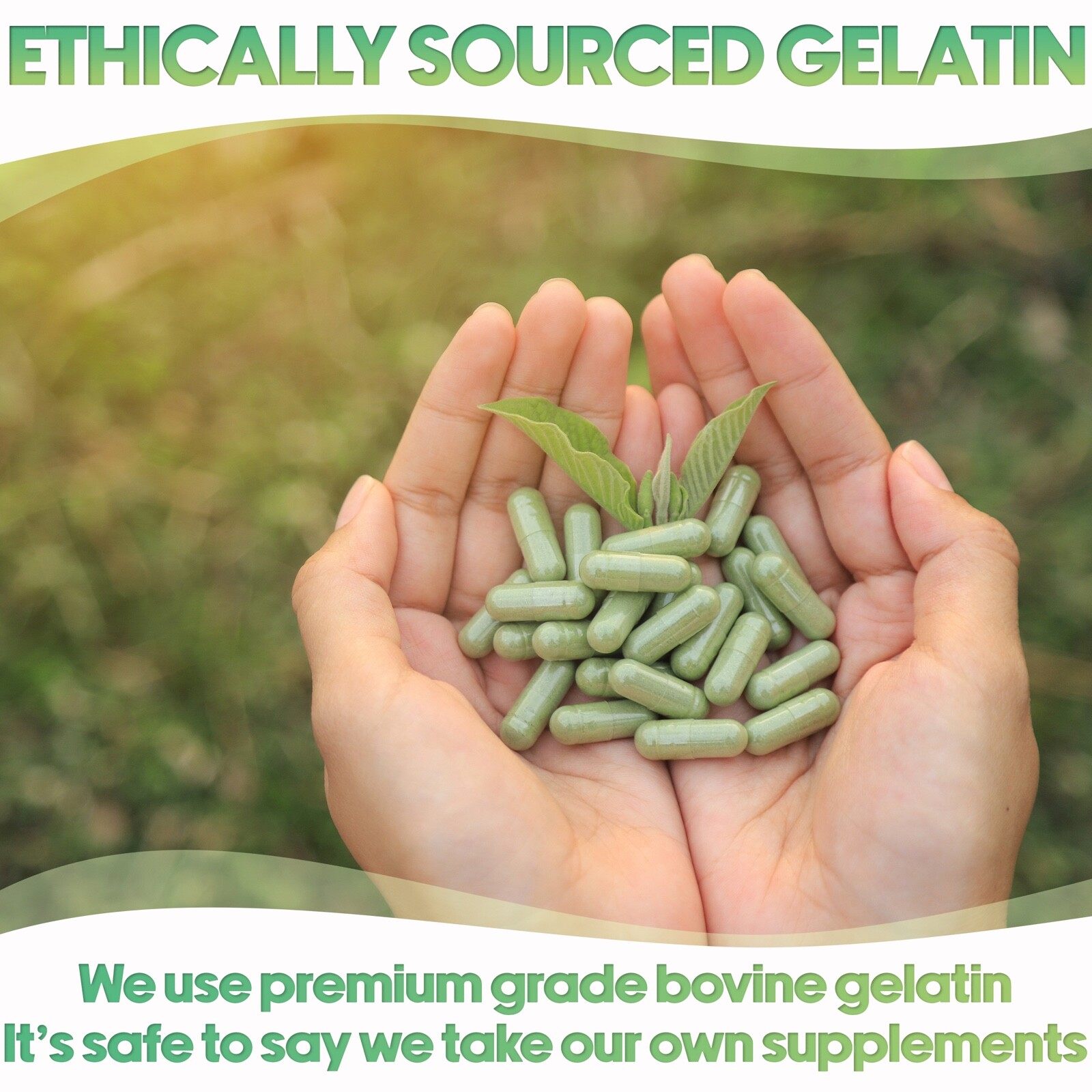 Size 5 White Empty Gelatin Capsules Perfect for Cats, Small Children ...