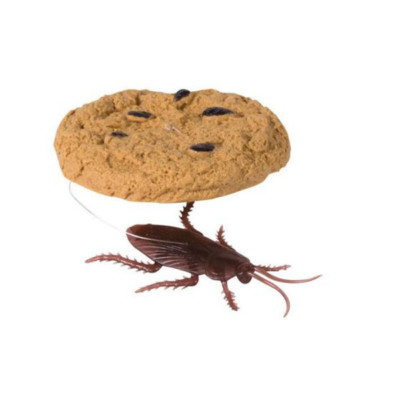 Cockroach Under Cookie Bug Fun Prank Novelty Joke Biscuit Stocking ...