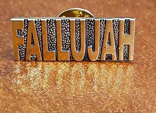 VTG Gold Toned Enameled Lapel Hat Pinback Battle Of Fallujah Military Pin | eBay