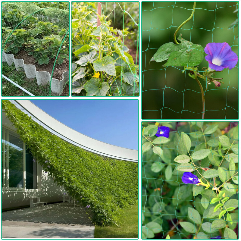 6-100FT Mesh Plant Trellis Net Roll Climbing Plant Scrog Garden Netting ...